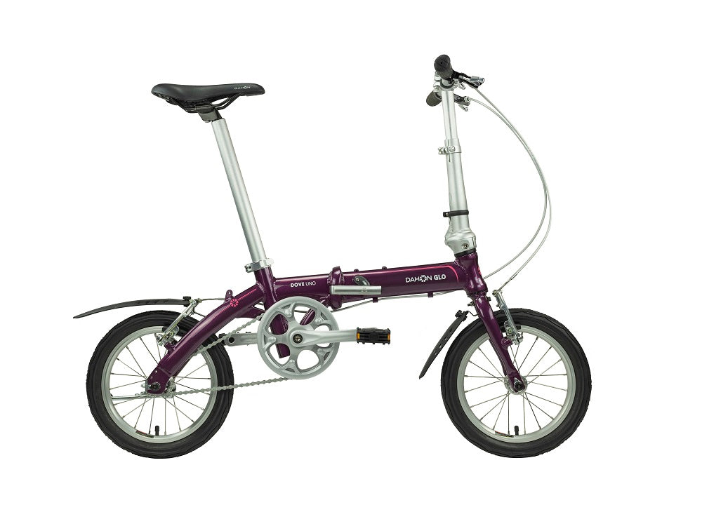 Dahon Folding Bike