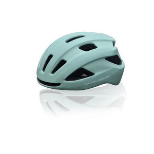 DAHON colorful sports helmets (57-62cm)-DH-1133 / DAHON HELMETS (57-62